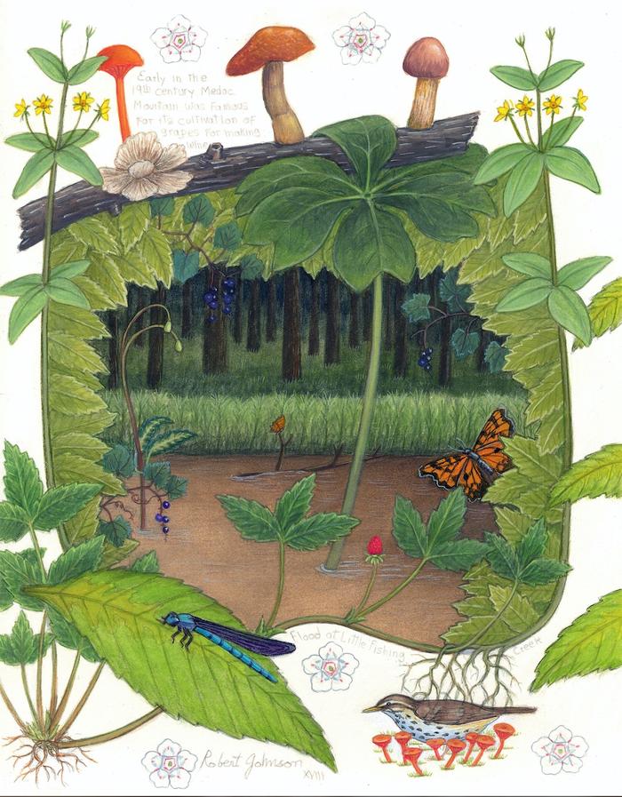 Blue Spiral 1 - Exhibit_Detail