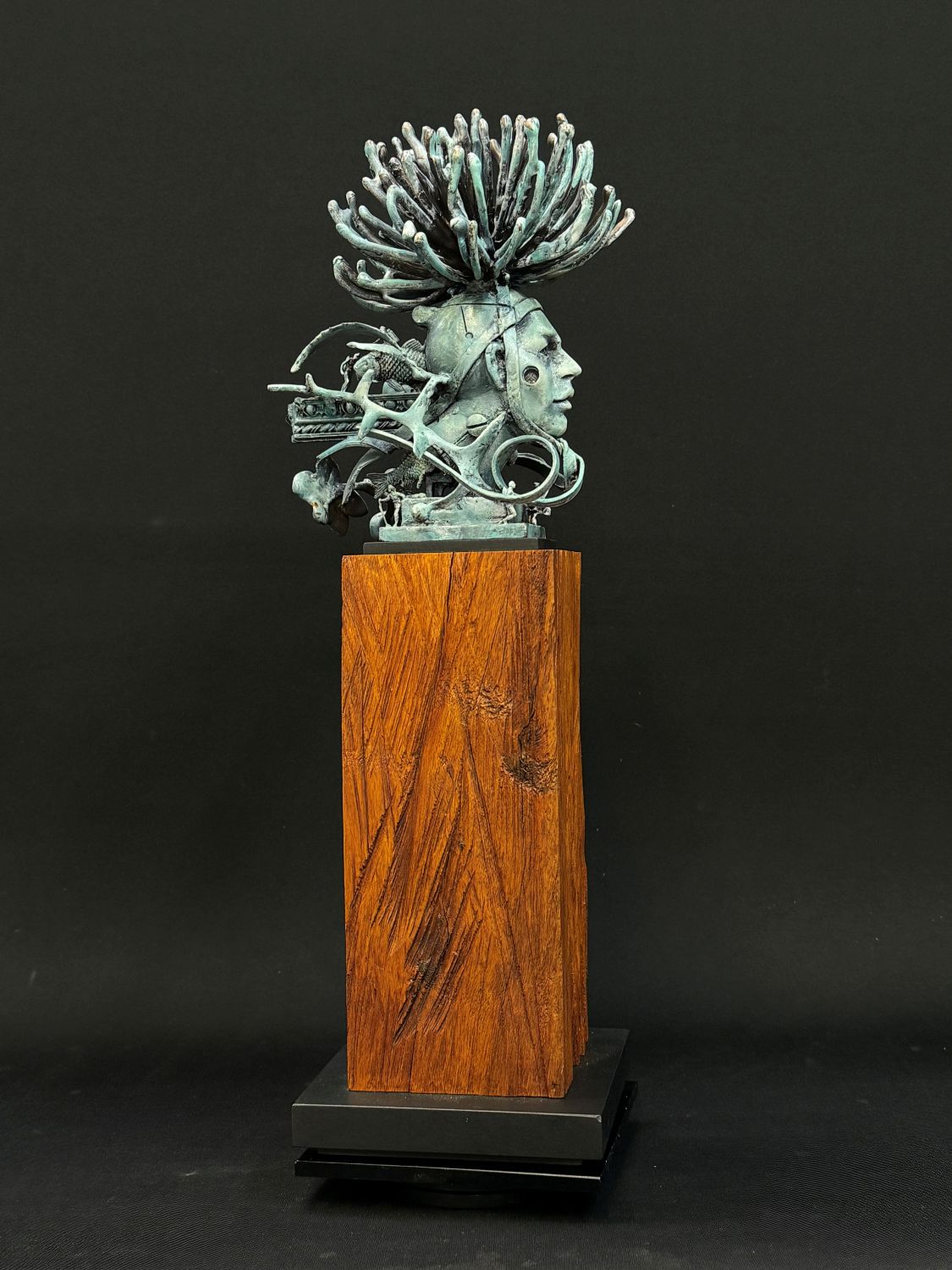 Dock 333 - Sea Urchin Series | Theodore Gall | CODA Gallery