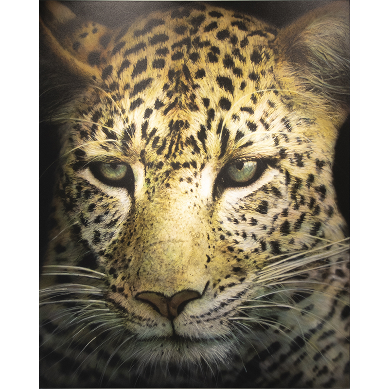 CODA Gallery Artists