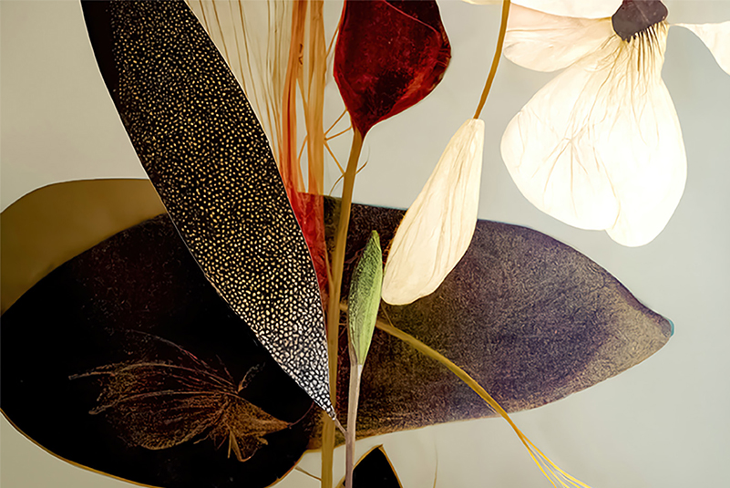 Manyung Gallery Group | Australian Contemporary Art | Melbourne